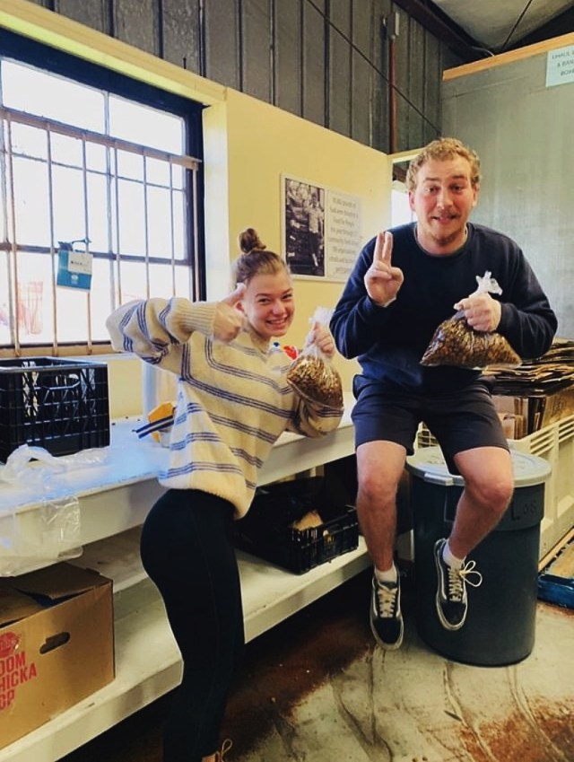 Westtown Senior Projects' Blog